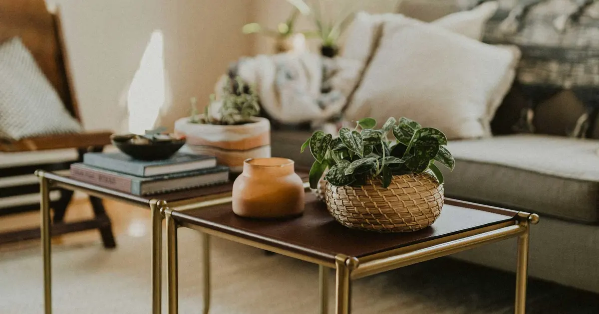 Amenities | Wind Ridge